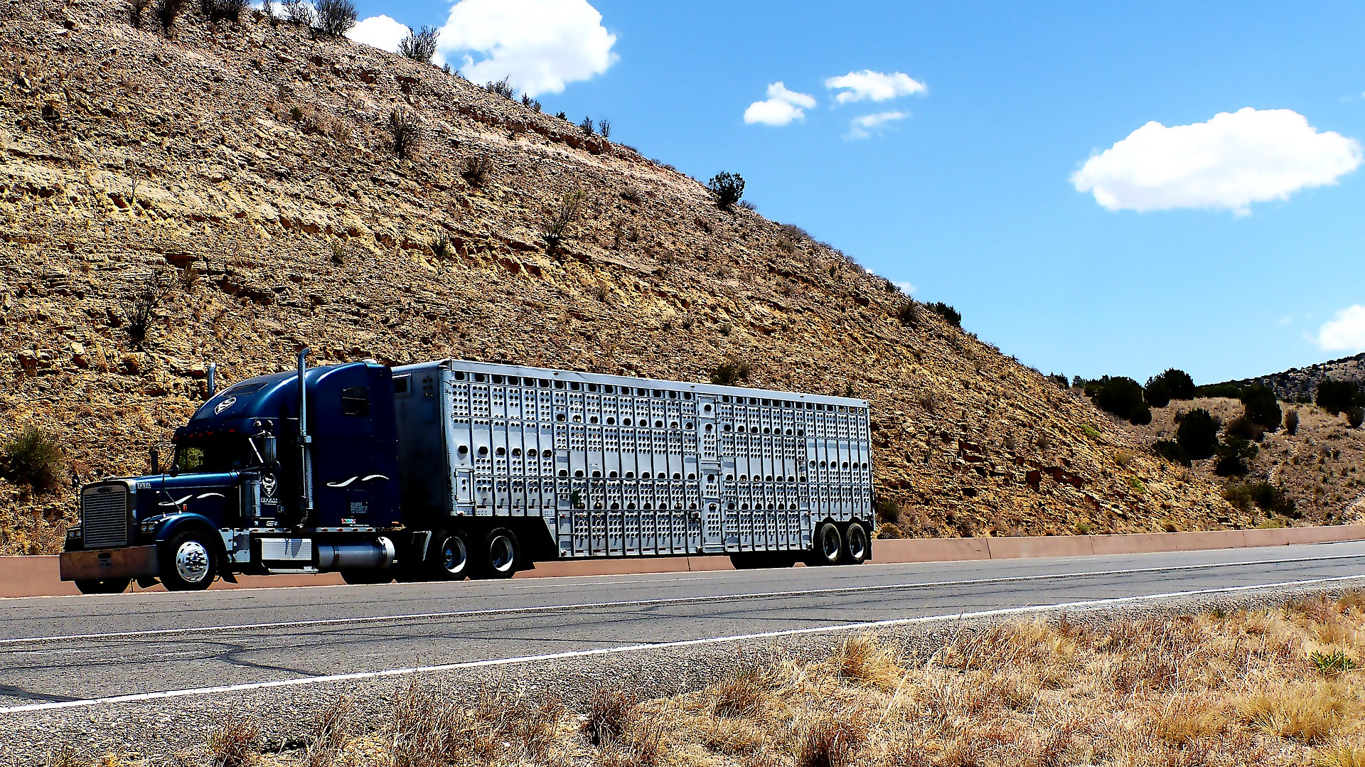 4 Tips for a Successful Driver Safety Program - Drive My Way