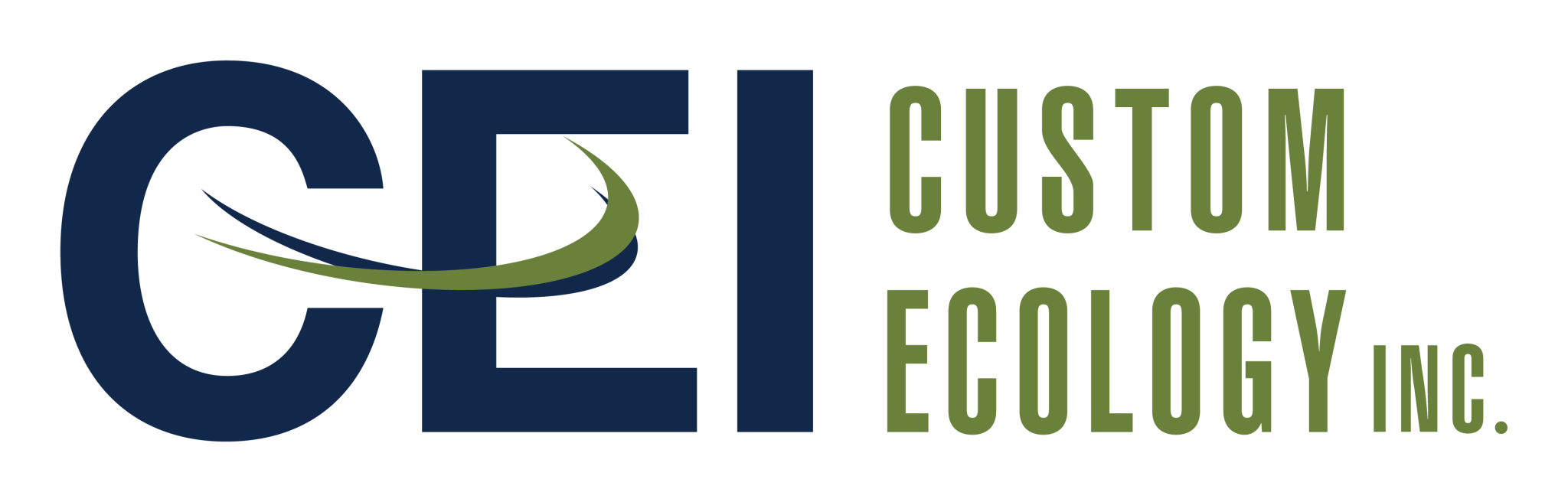 Custom Ecology Case Study